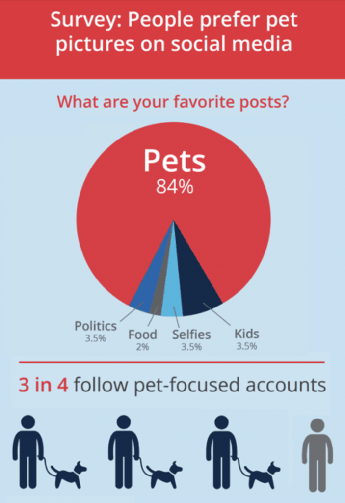 How to Market Pet Products Online in 2022